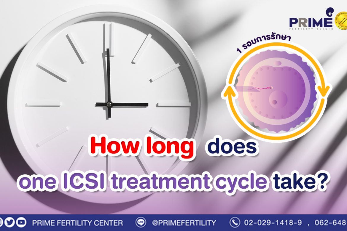 Ovulation Cycle - Ovulation cycle timeline | Prime Fertility Clinic